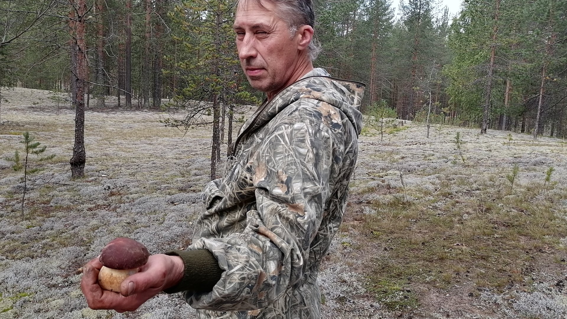 Белые грибы. БОРОВИКИ