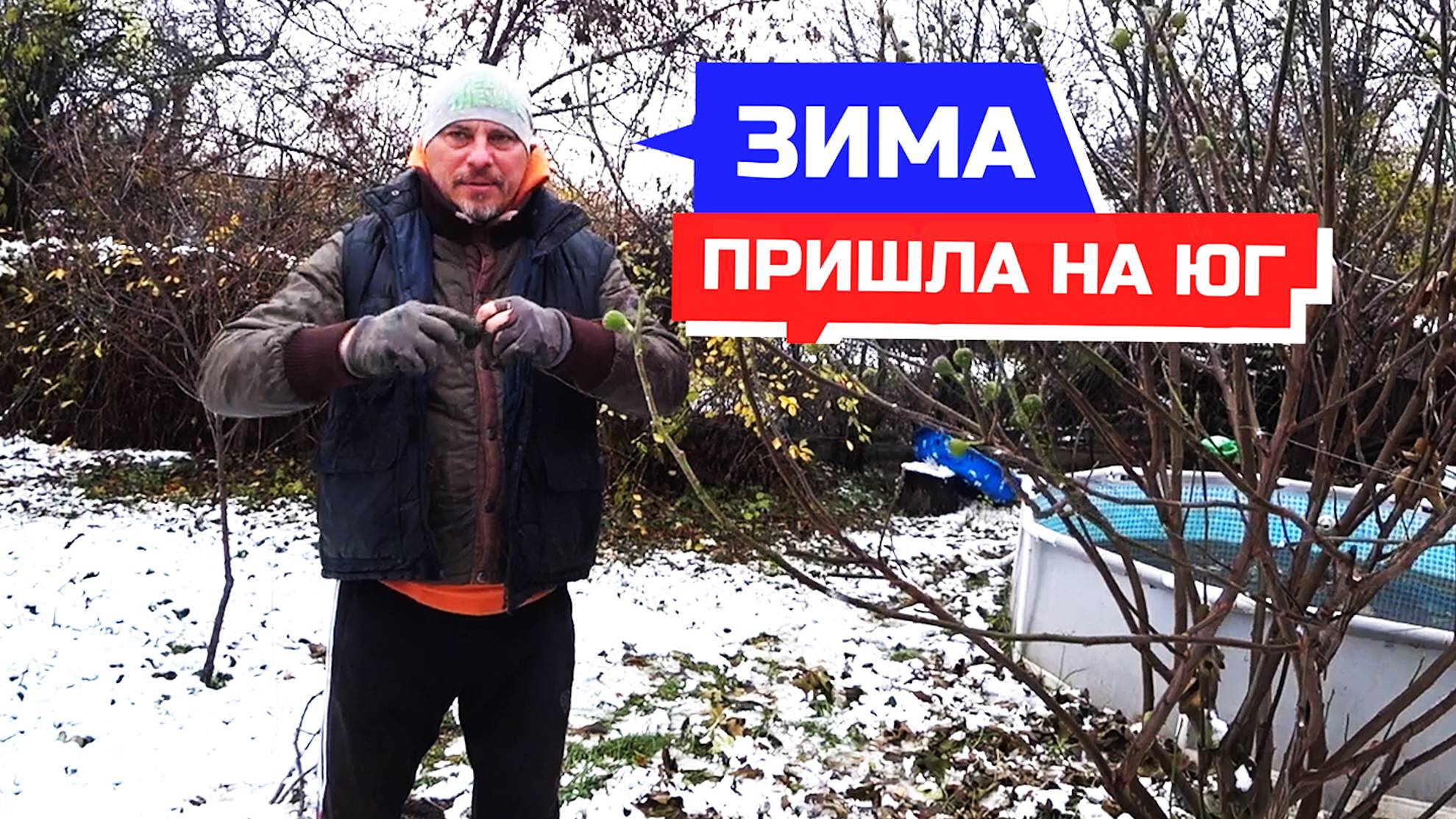 808 Влог 24-26 ноя. Зима пришла на Кубань. День матери. Укрыли инжир старыми матрасами.