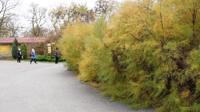 «Память книга оживит История Дона» 2022 4-й этап  Людмила Казакова «Танаис» Отрывок