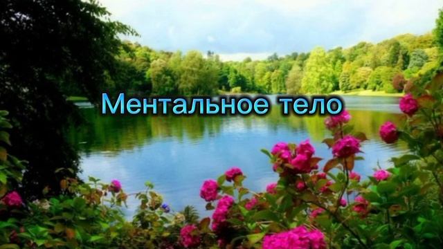 Исцеление физического тела и тонких тел - сеанс Алмазные рейки