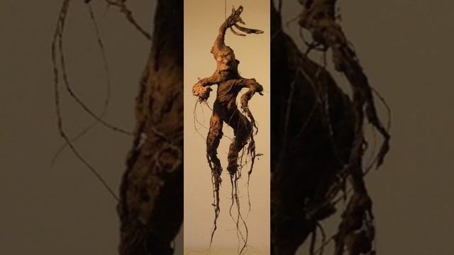 Лавр Ухин Альравны (глава 1)