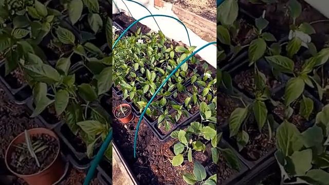 6 апреля 2022 г.