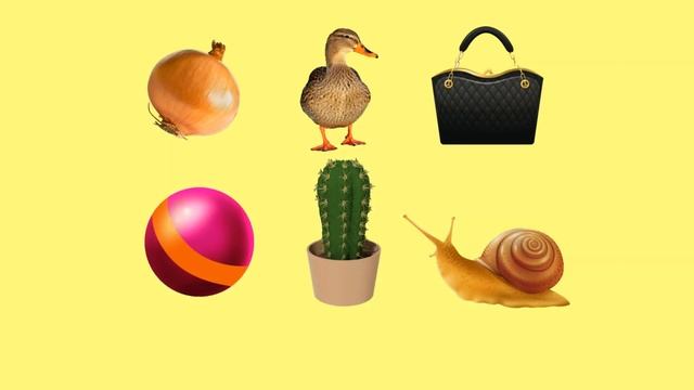 Звук и буква У.