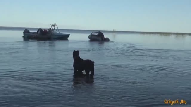 остров Мантсинсаари , земляничный остров , грибы , Ладога , волны , отдых