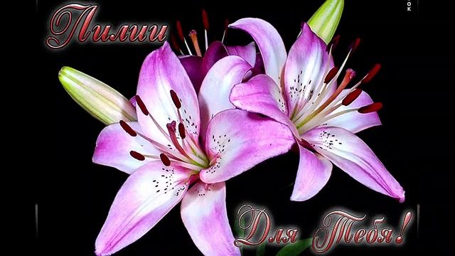 С Днём рождения сестра! Поздравление Лилии