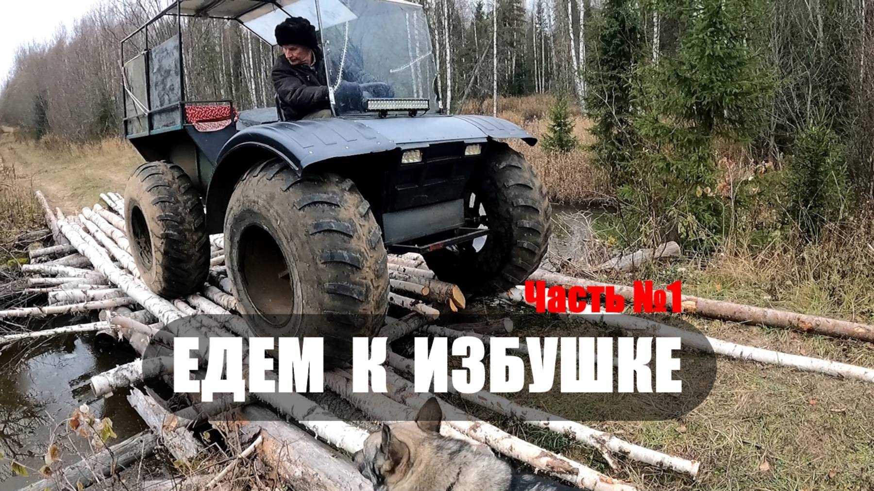Домик охотника!  Часть 1: Пробираемся к лесной избушке.