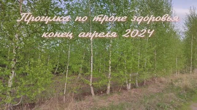 Прогулка по тропе здоровья