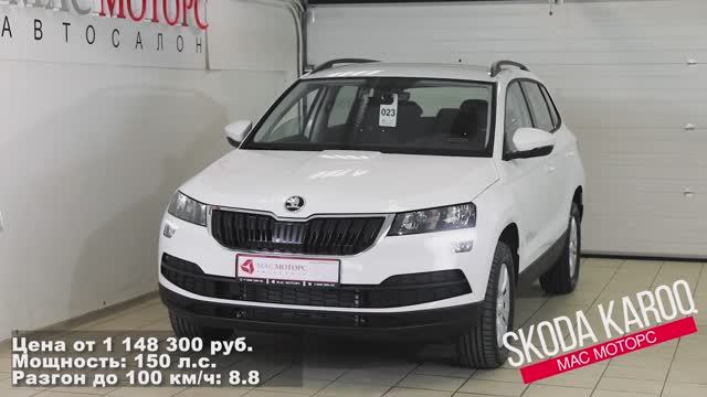 Обзор Skoda Karoq