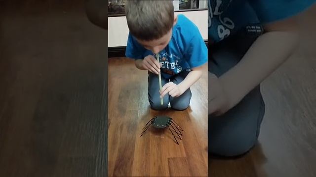 Калганов Матвей