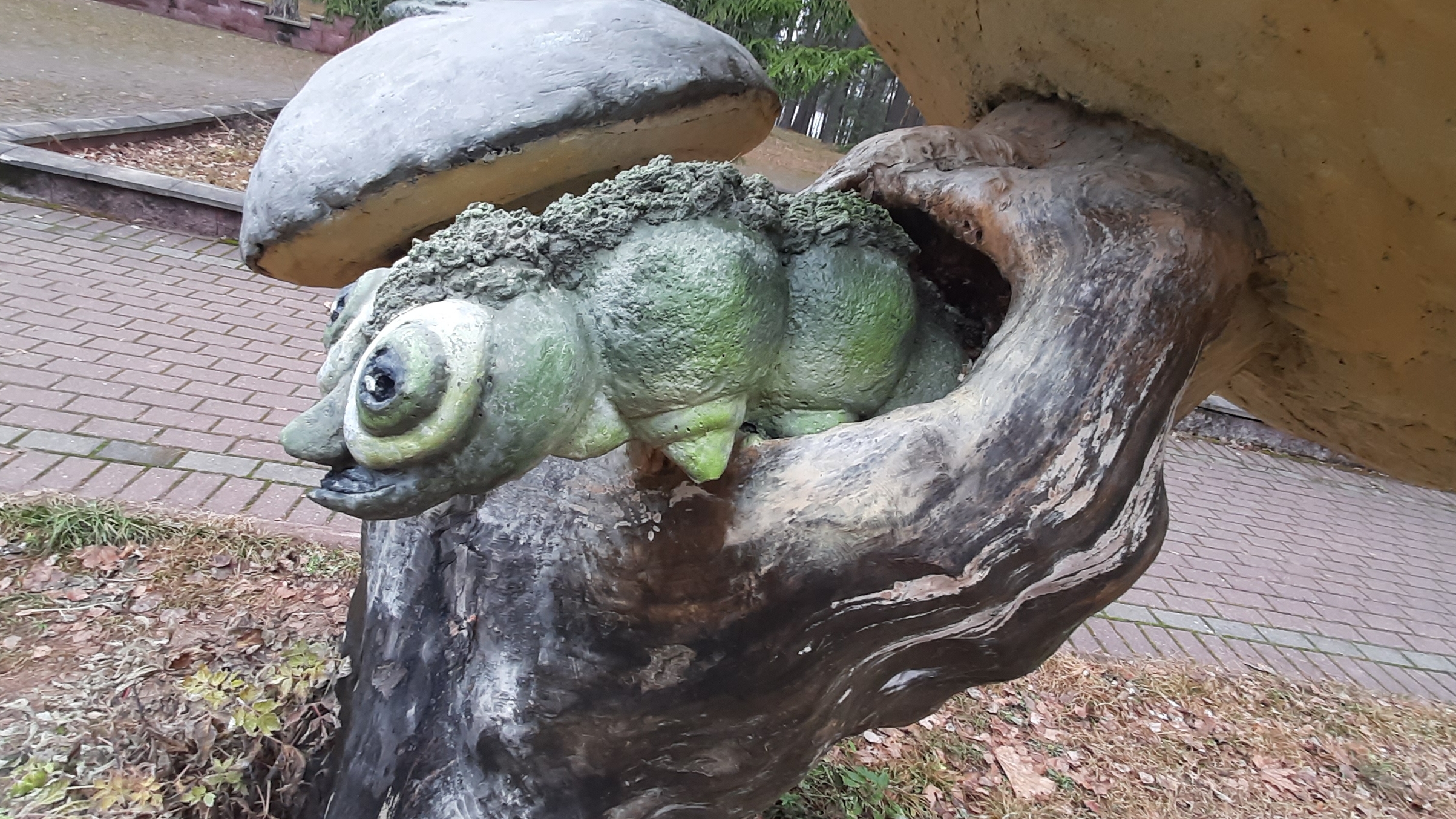 Жизнь кузнечика