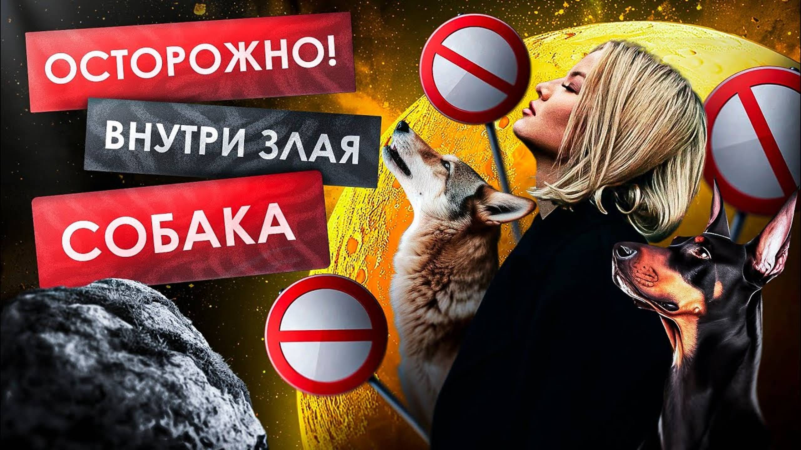 «Осторожно, внутри злая собака»
