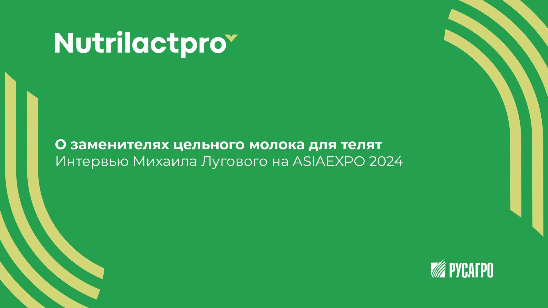О заменителях цельного молока для телят Нутрилактпро. Интервью с Михаилом Луговым