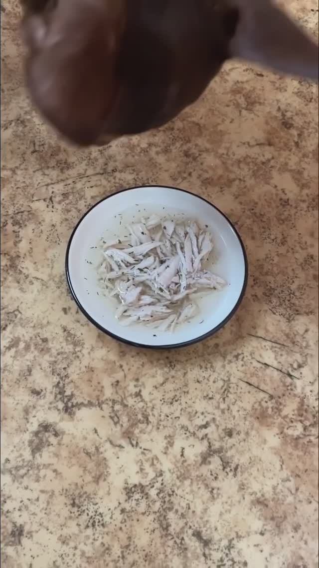 Совместный обед #shorts #short #shortsvideo  #той