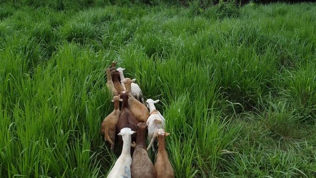 12719662_2560_1440_30fps