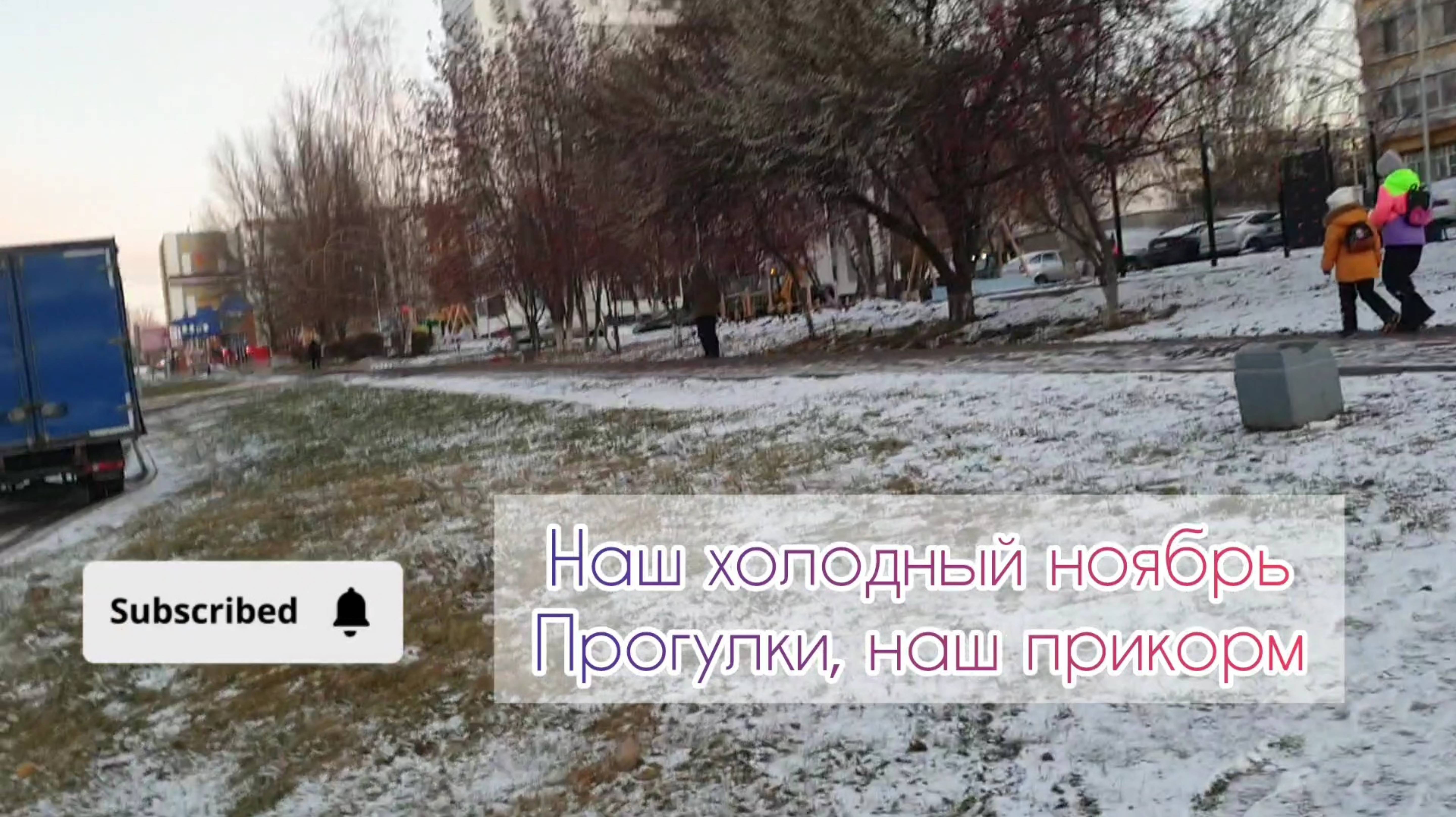 Холодный ноябрь. Наш прикорм, прогулки, купили шкаф