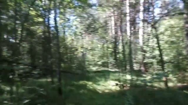 Денёк был не очень,но находки были.