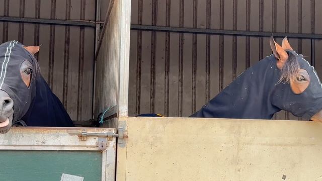 12720540_1920_1080_60fps