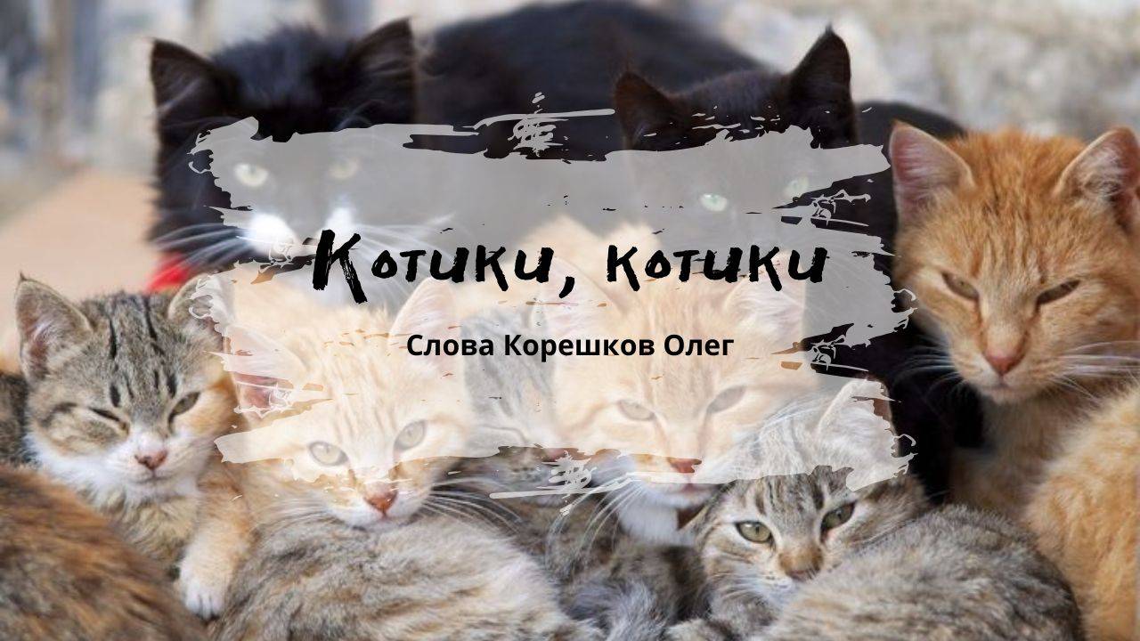 Котики, котики (слова Корешков Олег)