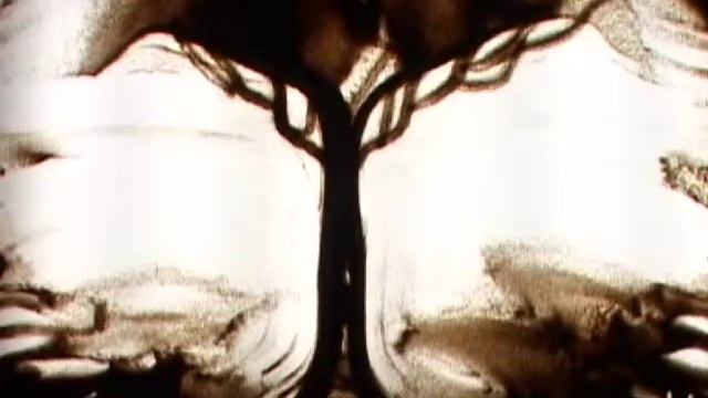 Песочное шоу +7 (916) 233 25 81