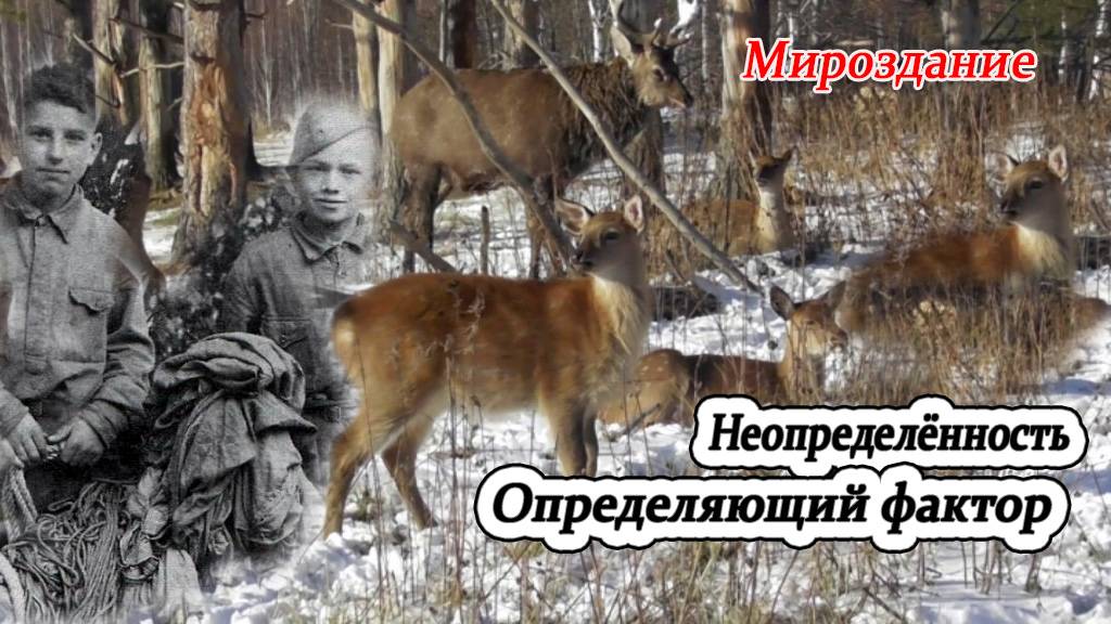 Висим.Мараловая ферма . Неопределённость.