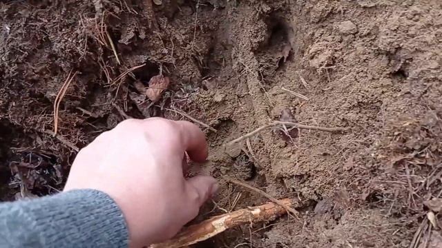 Ключик от сундука с Сокровищами.