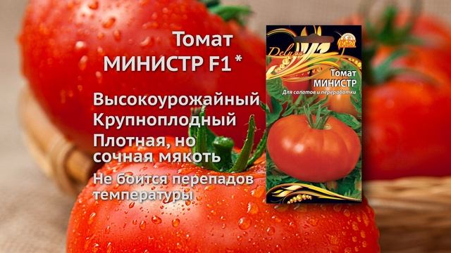 Томат Министр F1