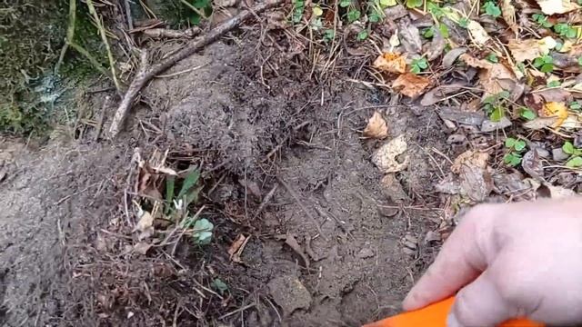 Дождь не Помеха для Находок.