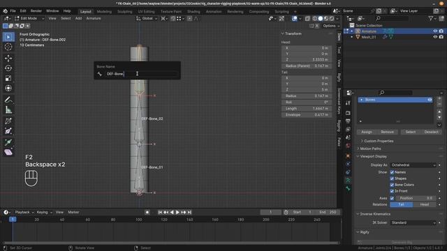 RIG_C02L06_fk-chain_basic
