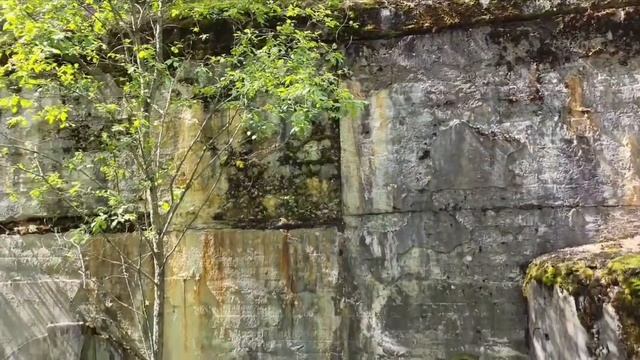 Выборг 2023 год. Vyborg 2023. Viipuri 2023