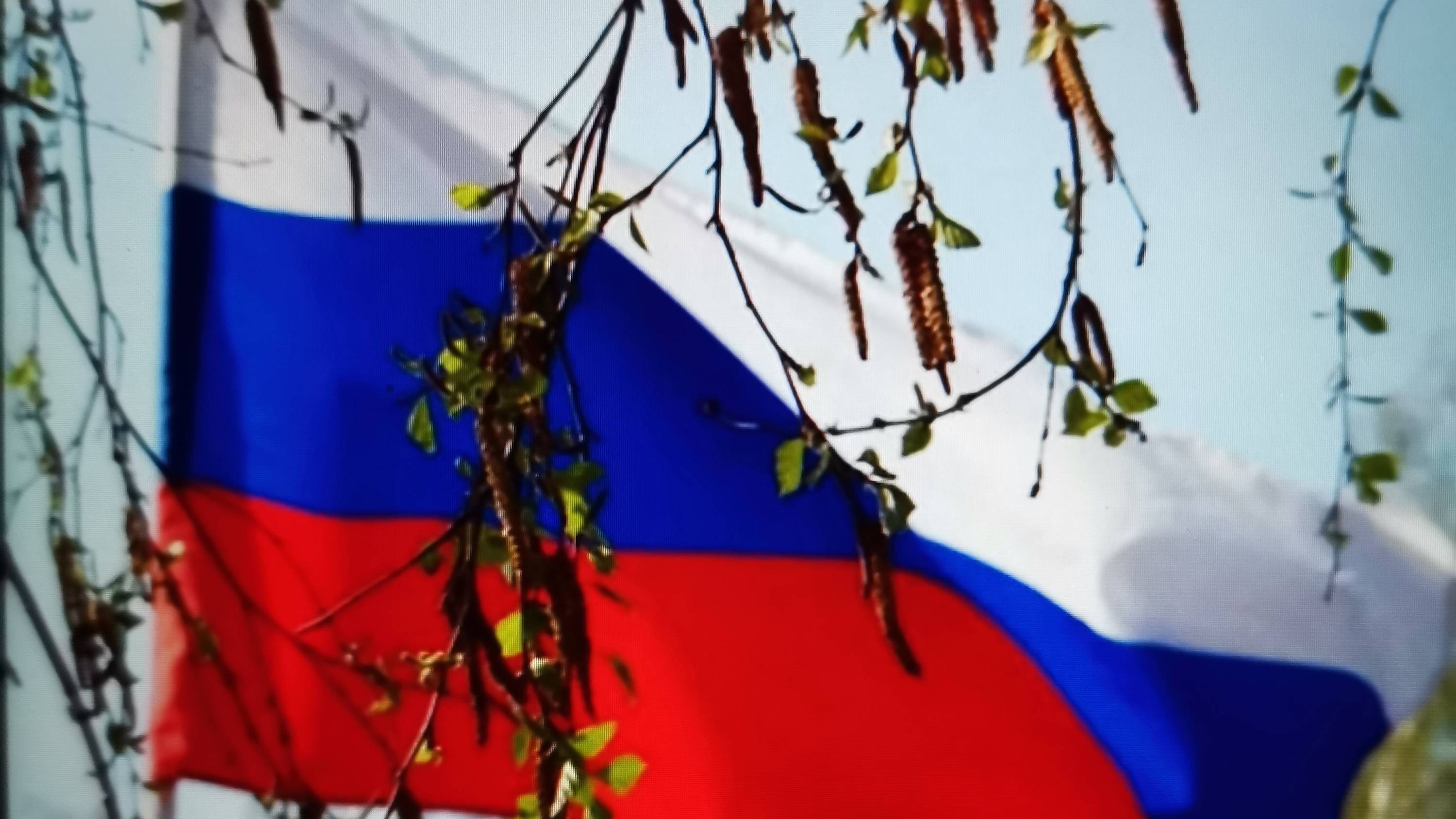 вперёд, Россия