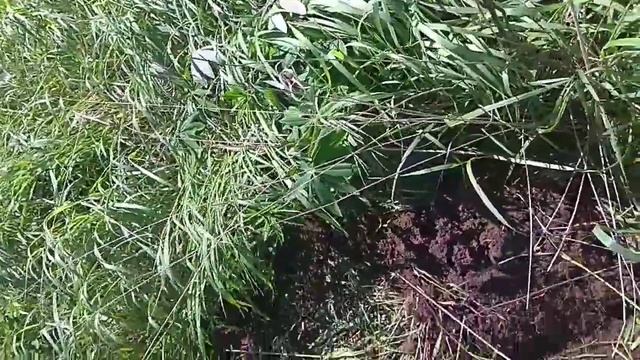 Коп с Товарищем!!!