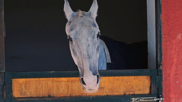 12717080_2560_1440_50fps