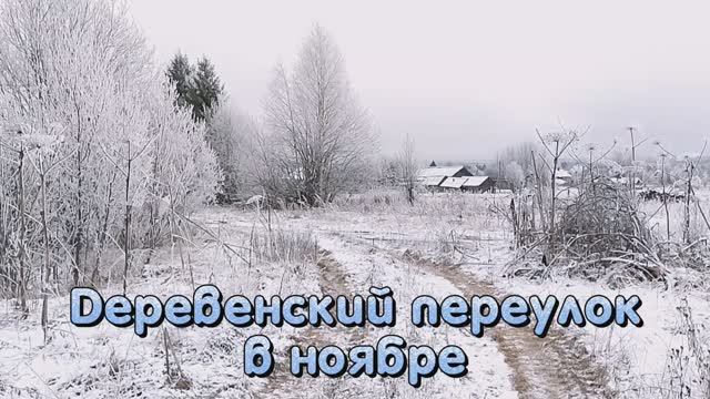 Деревенский переулок в ноябре.mp4