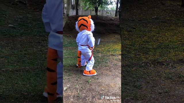 2c2f53c1a6e3b89b8addca7621366c75_1732666666451