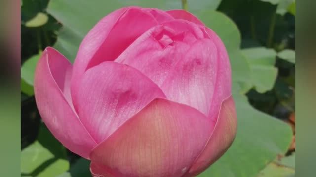 Путятин остров.  Чувствую между ребер его безразличие. Он для меня особенный. Я для него обычная