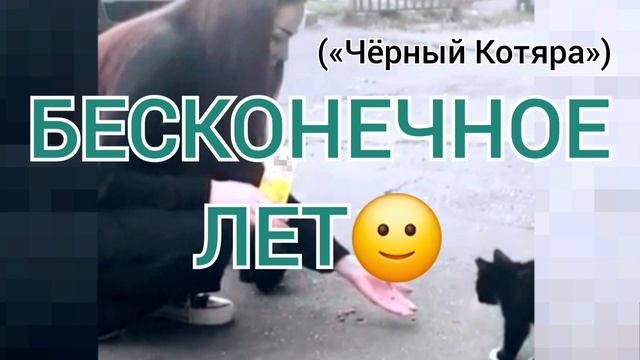 Бесконечное лето («Чёрный Котяра»)