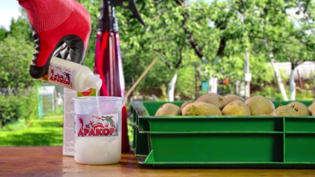 Средство для обработки клубней картофеля Дракор