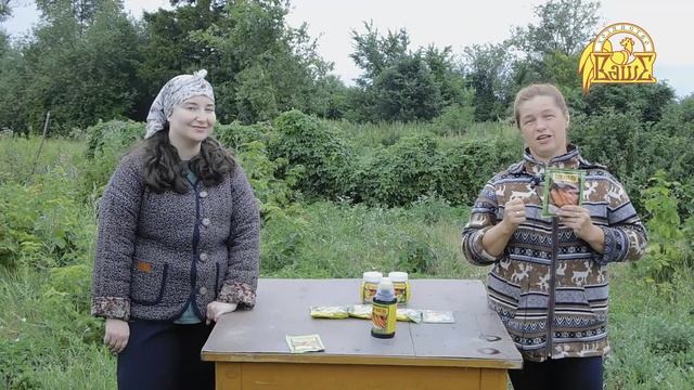 Препарат для подкормки моркови Здравень