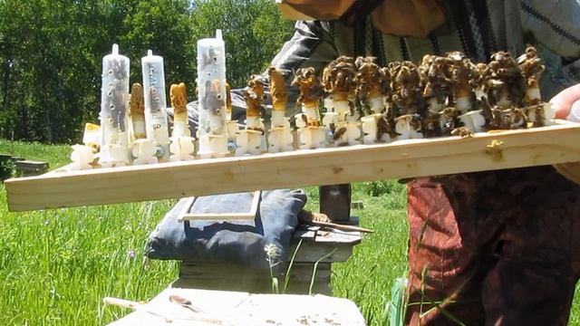 Как разводить пчёл