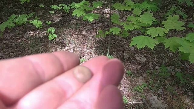 Раз на Раз не Приходится!