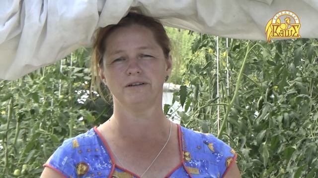 Биопрепарат для защиты растений от болезней Триходерма вериде