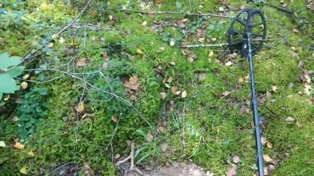 Нашёл Царское Место.