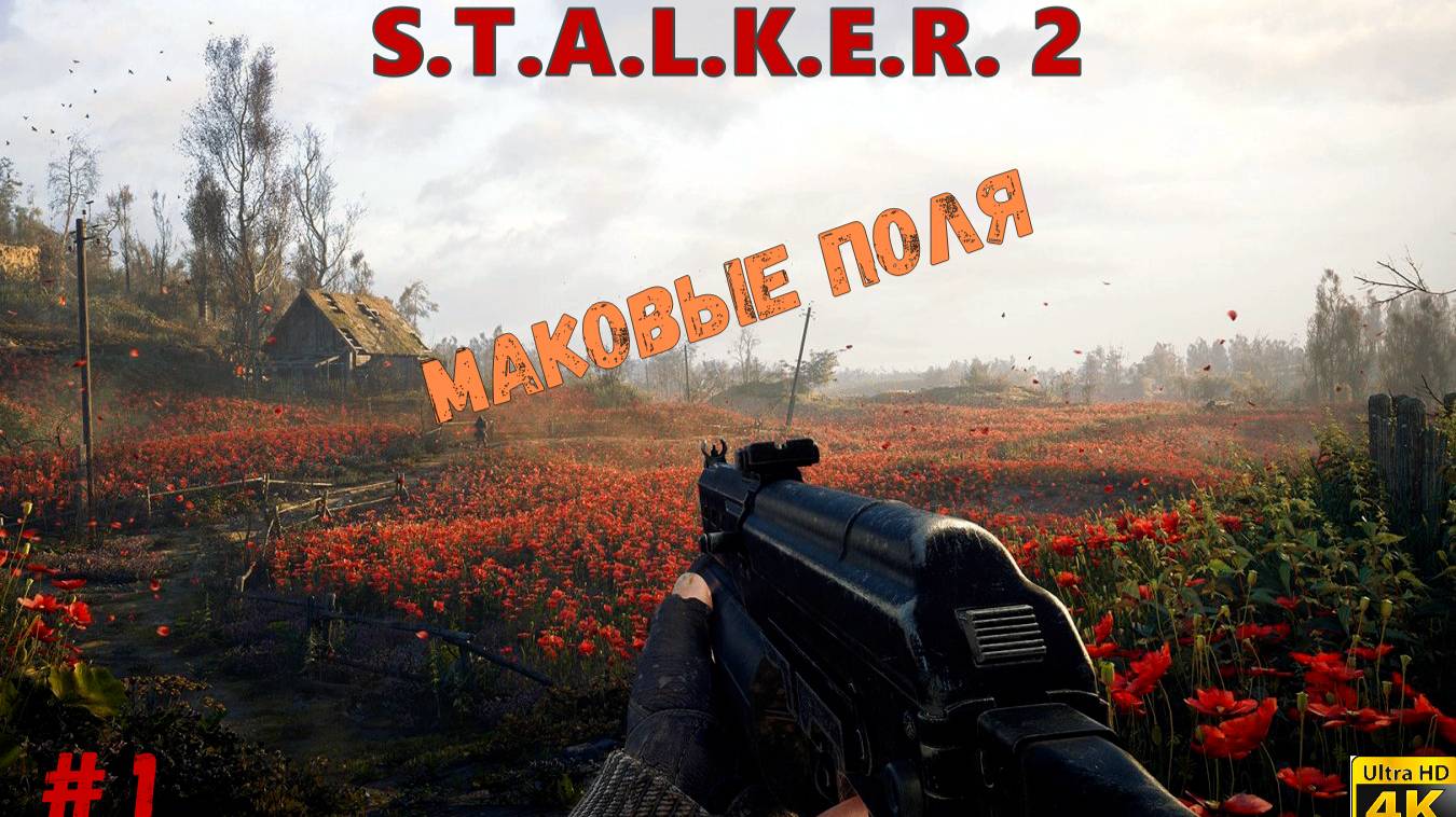 S.T.A.L.K.E.R. 2 / Прохождение #1