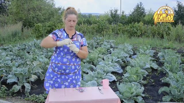 Средство против овощных и цветочных насекомых-вредителей Биокилл