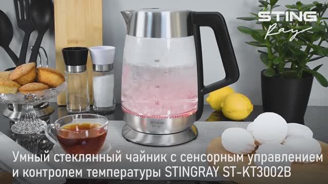 Чайник STINGRAY ST-KT3002B
