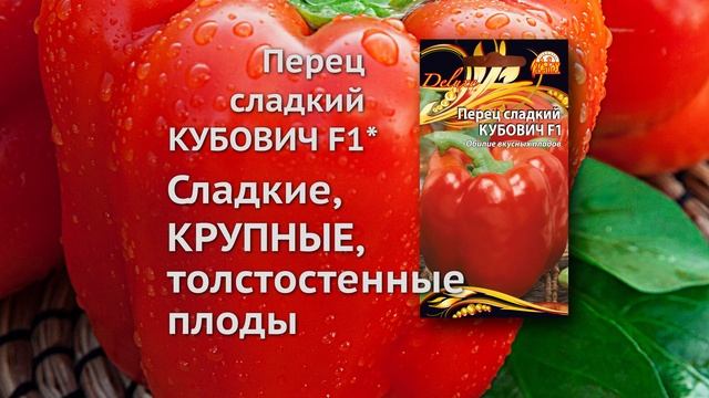 Перец сладкий Кубович F1