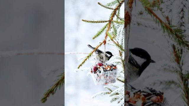 С добрым утром!