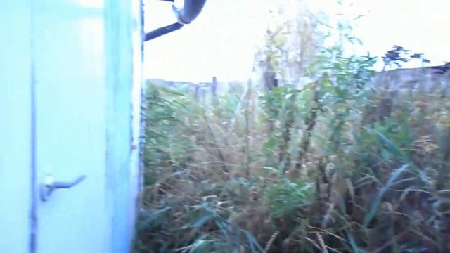 Ох как же выручает нас мох
