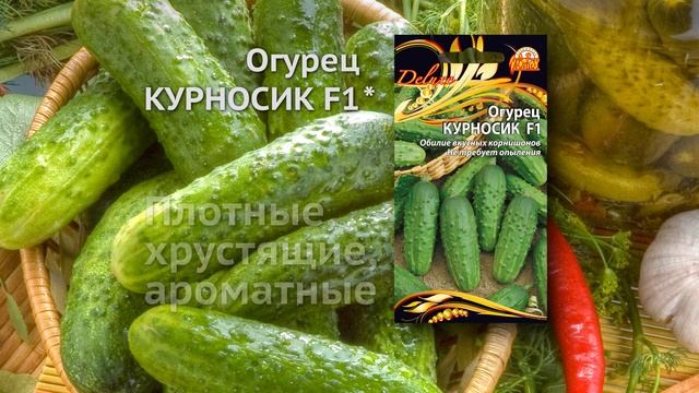 Огурец Курносик F1