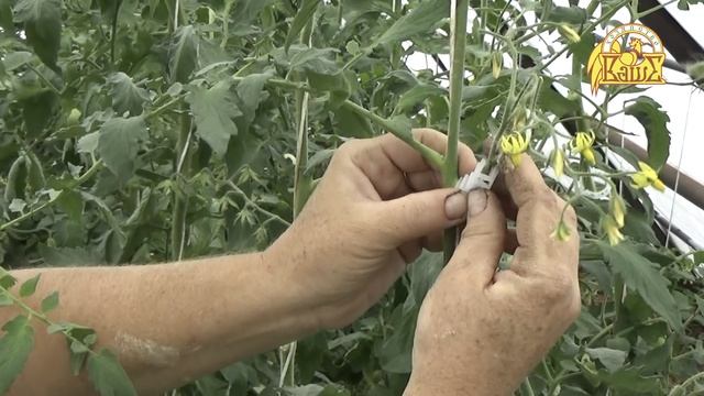 Быстрокреп крючки